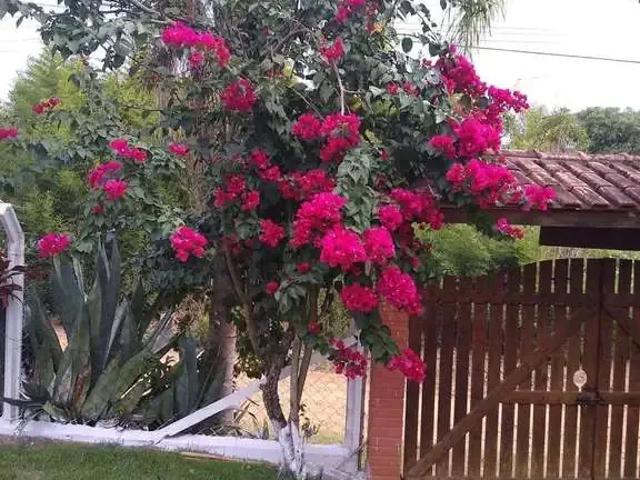 Sítio / Chácara para Venda em Pilar do Sul/SP Jardim Cananeia 2 Quartos