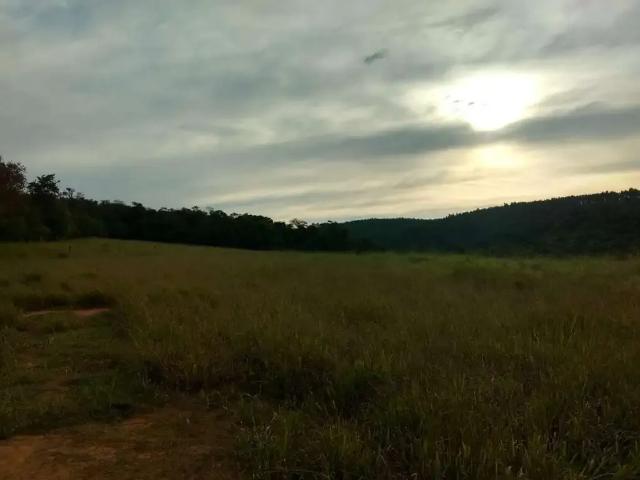 Sítio / Chácara para Venda em Pilar do Sul/SP Zona Rural 3 Quartos