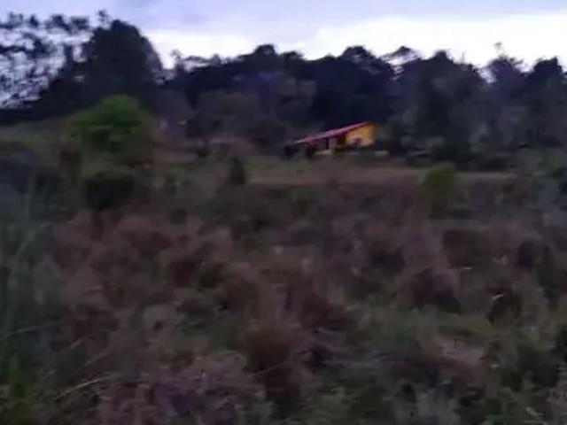 Sítio / Chácara para Venda em Pilar do Sul/SP Zona Rural 3 Quartos