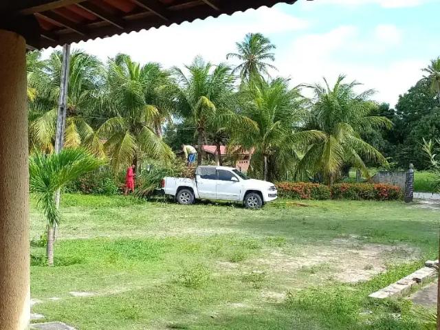 Sítio / Chácara para Venda em Pindoretama/CE Zona Rural 2 Quartos