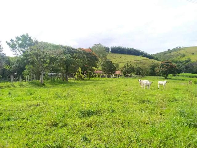 Sítio / Chácara para Venda em Pindamonhangaba/SP Bom Sucesso