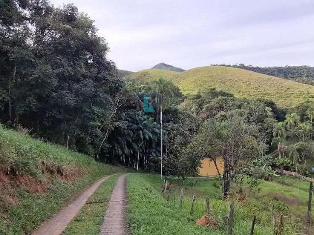 Sítio / Chácara para Venda em Pindamonhangaba/SP Graminha 4 Quartos
