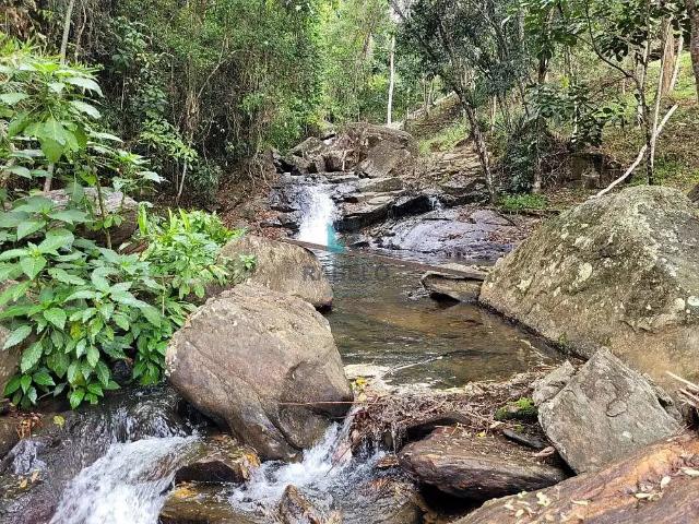 Sítio / Chácara para Venda em Pindamonhangaba/SP Pinga