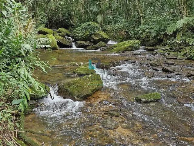 Sítio / Chácara para Venda em Pindamonhangaba/SP Ribeirão Grande 2 Quartos