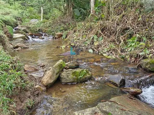 Sítio / Chácara para Venda em Pindamonhangaba/SP Ribeirão Grande 2 Quartos
