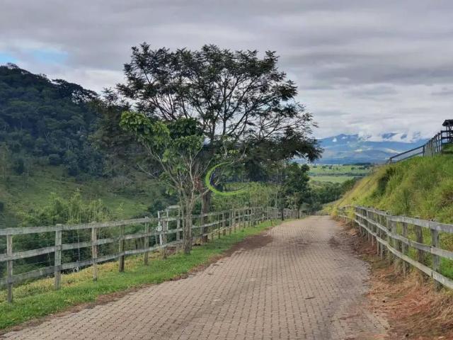 Sítio / Chácara para Venda em Pindamonhangaba/SP Ribeirão Grande 3 Quartos
