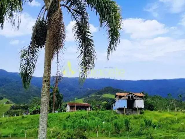 Sítio / Chácara para Venda em Pindamonhangaba/SP Ribeirão Grande