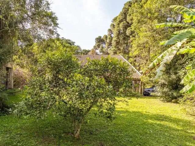 Sítio / Chácara para Venda em Pinhais/PR Parque das Nascentes 3 Quartos