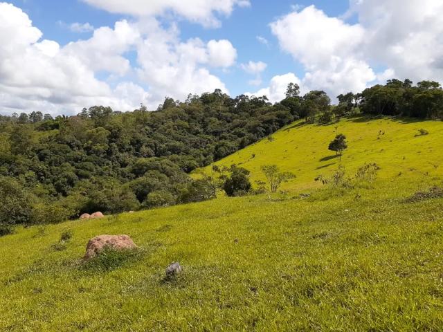 Sítio / Chácara para Venda em Pinhalzinho/SP Zona Rural