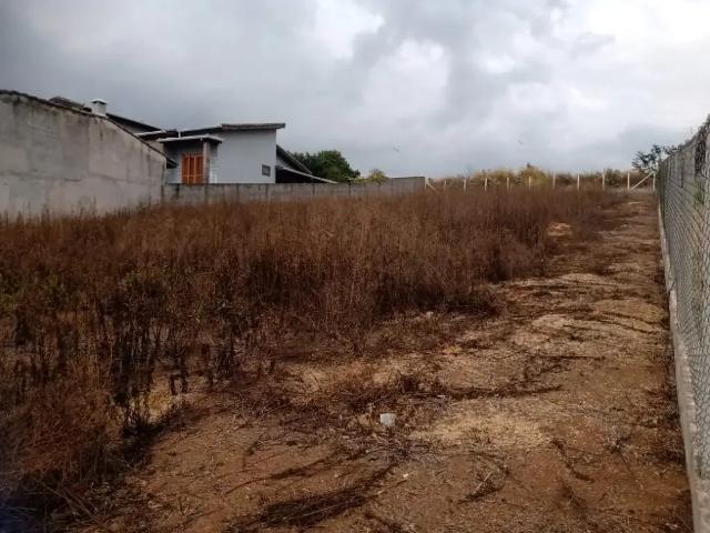 Sítio / Chácara para Venda em Pinhalzinho/SP Fazenda Velha
