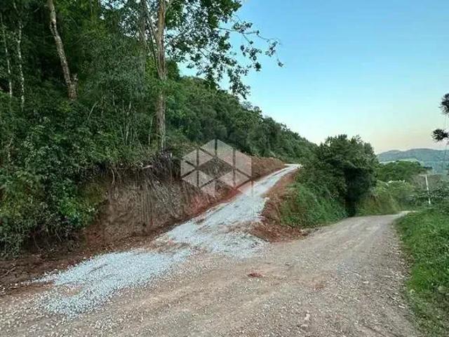 Sítio / Chácara para Venda em Pinto Bandeira/RS Centro