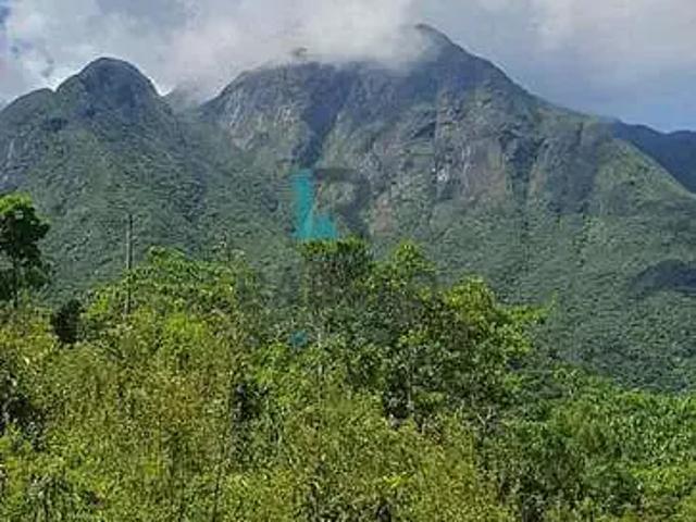 Sítio / Chácara para Venda em Piquete/SP Marins