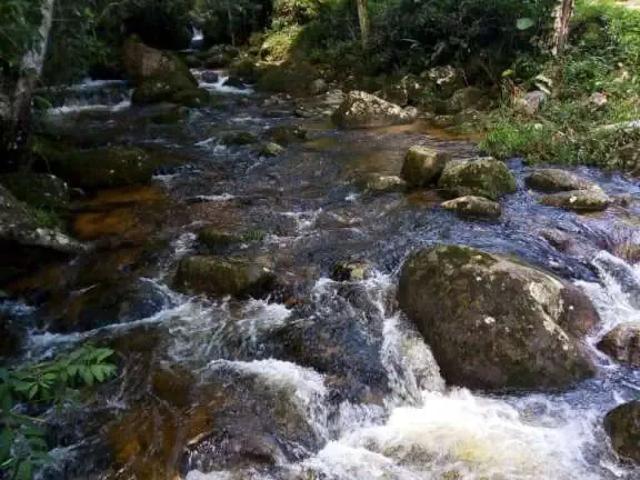 Sítio / Chácara para Venda em Piquete/SP Centro 2 Quartos