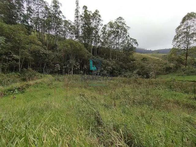 Sítio / Chácara para Venda em Piquete/SP Centro