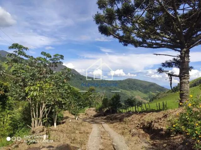 Sítio / Chácara para Venda em Piquete/SP Zona Rural 3 Quartos