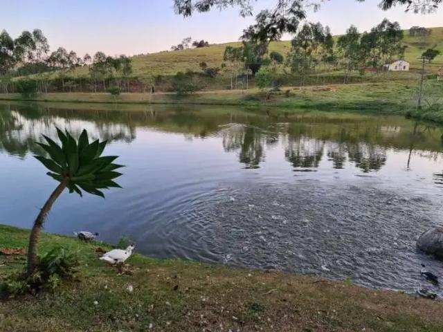 Sítio / Chácara para Venda em Piracaia/SP Zona Rural 4 Quartos