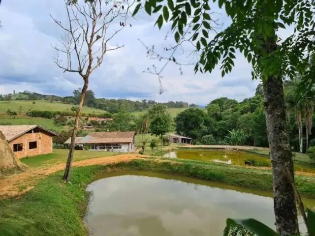 Sítio / Chácara para Venda em Piracaia/SP Zona Rural 4 Quartos