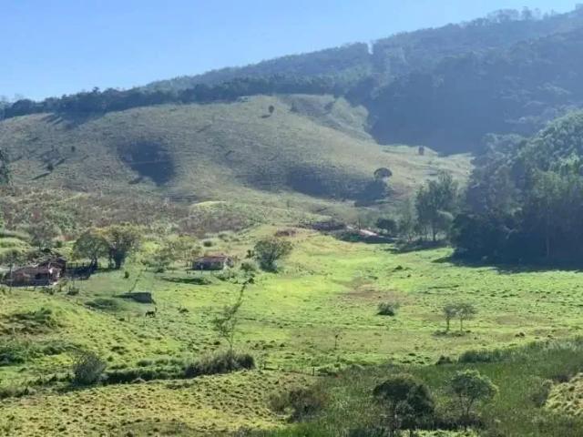 Sítio / Chácara para Venda em Piracaia/SP Zona Rural