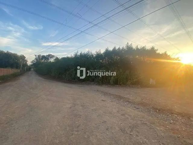 Sítio / Chácara para Venda em Piracicaba/SP Campestre