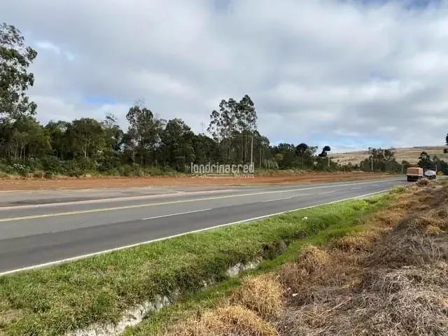 Sítio / Chácara para Venda em Piraí do Sul/PR Zona Rural