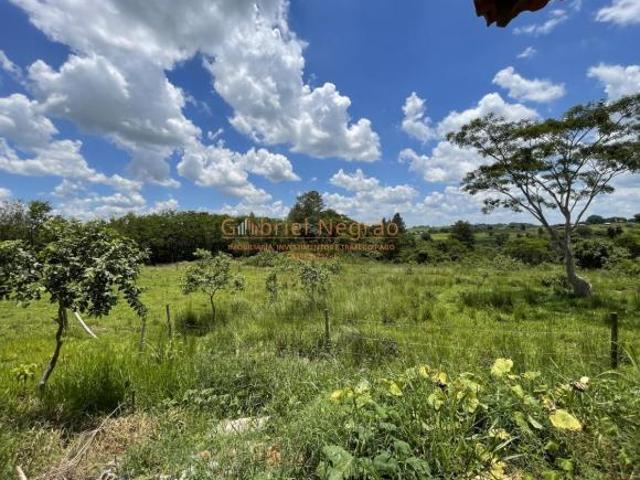 Sítio / Chácara para Venda em Pirapozinho, Zona Rural