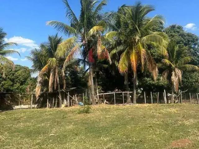 Sítio / Chácara para Venda em Pirapozinho/SP Zona Rural 3 Quartos