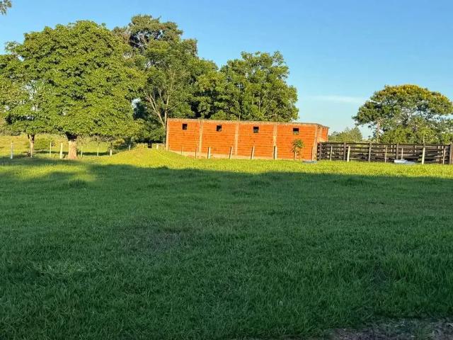 Sítio / Chácara para Venda em Pirapozinho/SP Zona Rural 3 Quartos