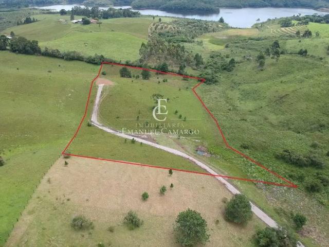 Sítio / Chácara para Venda em Piraquara/PR Colônia Santa Maria