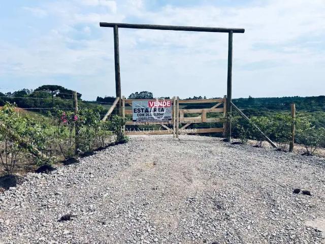 Sítio / Chácara para Venda em Piraquara/PR Colônia Santa Maria