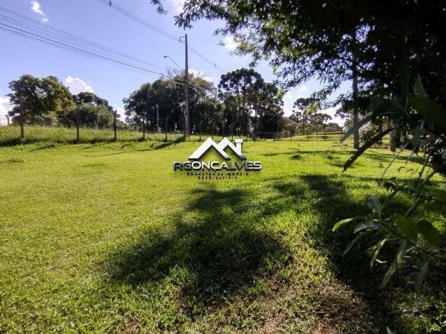 Sítio / Chácara para Venda em Piraquara/PR Centro
