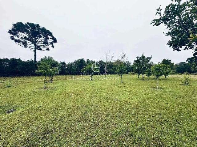 Sítio / Chácara para Venda em Piraquara/PR Borda do Campo
