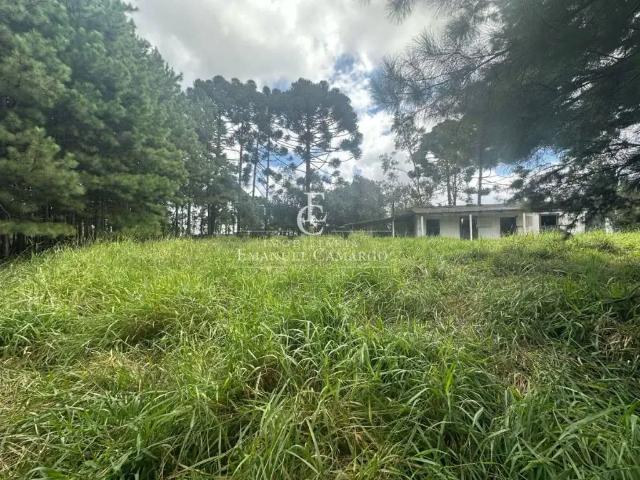 Sítio / Chácara para Venda em Piraquara/PR Borda do Campo