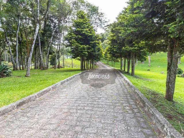 Sítio / Chácara para Venda em Piraquara/PR Borda do Campo 4 Quartos