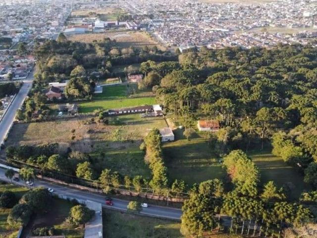 Sítio / Chácara para Venda em Piraquara/PR Guarituba