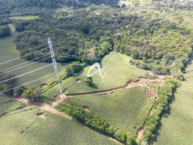 Sítio / Chácara para Venda em Piraquara/PR Jardim Diguimabri