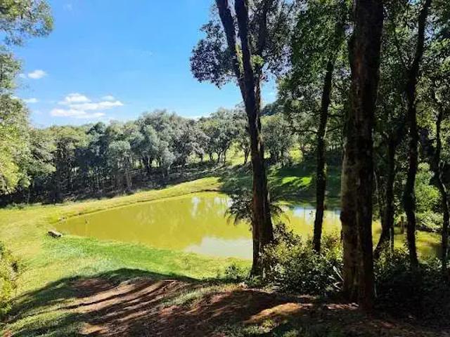 Sítio / Chácara para Venda em Piraquara/PR Marmeleiro 5 Quartos