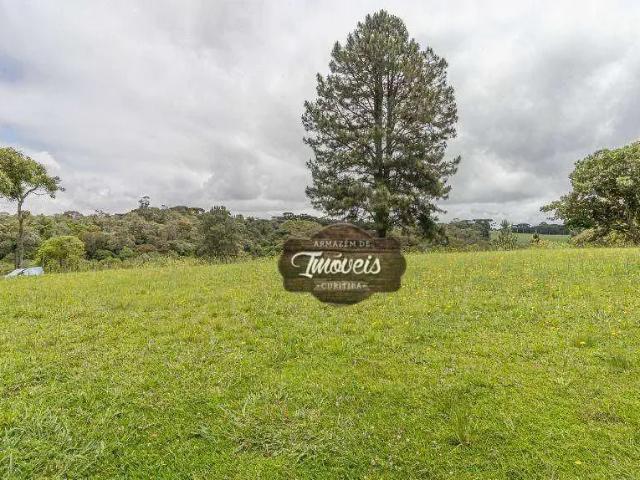 Sítio / Chácara para Venda em Piraquara/PR Planta Laranjeiras