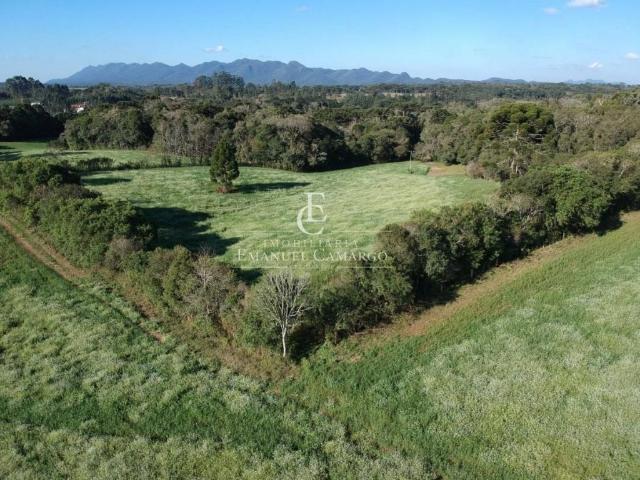 Sítio / Chácara para Venda em Piraquara/PR Planta Laranjeiras
