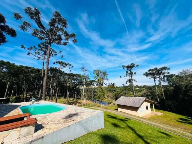 Sítio / Chácara para Venda em Piraquara/PR Roça Nova 2 Quartos
