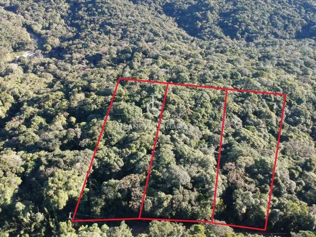 Sítio / Chácara para Venda em Piraquara/PR Recreio da Serra