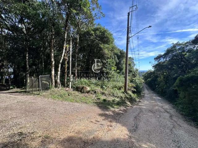 Sítio / Chácara para Venda em Piraquara/PR Recreio da Serra