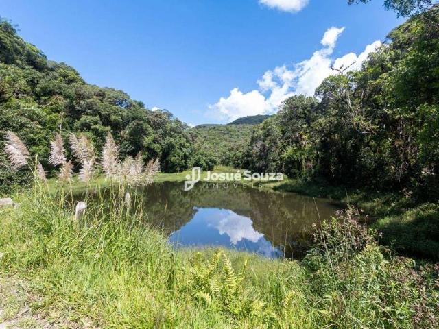 Sítio / Chácara para Venda em Piraquara/PR Recreio da Serra 1 Quartos