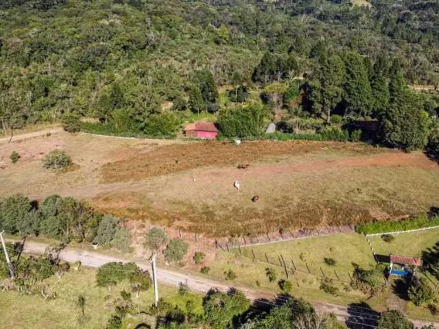 Sítio / Chácara para Venda em Piraquara/PR Vila Franca