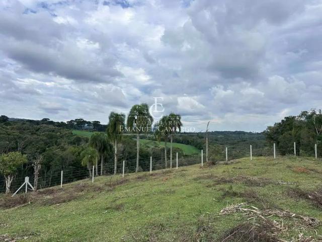Sítio / Chácara para Venda em Piraquara/PR Vila Fuck