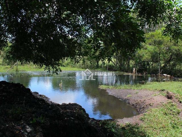 Sítio / Chácara para Venda em Piraquara/PR Vila Militar I 2 Quartos