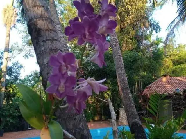 Sítio / Chácara para Venda em Piratininga/SP Vila Moraes