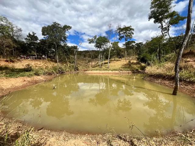 Sítio / Chácara para Venda em Pirenópolis/GO Zona Rural 1 Quartos