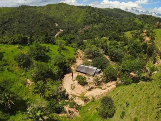 Sítio / Chácara para Venda em Planaltina/GO Setor Leste