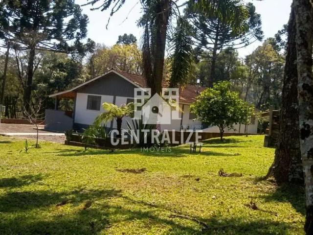Sítio / Chácara para Venda em Prudentópolis/PR Zona Rural