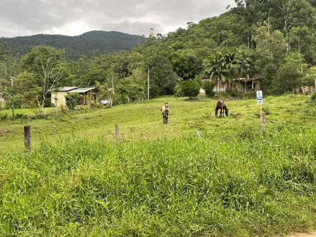 Sítio / Chácara para Venda em Praia Grande/SC Centro